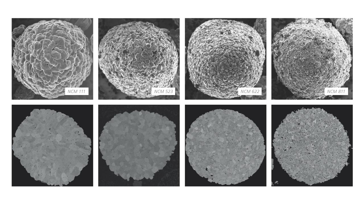 ZEISS GeminiSEM : Microscope électronique à balayage par émission de ...
