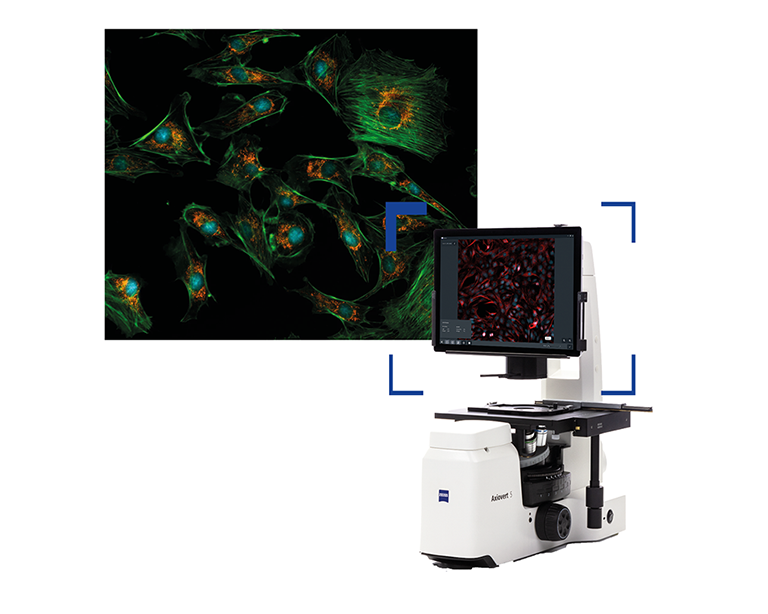 ZEISS Axiovert 5 digital : votre système d'imagerie cellulaire pour l ...
