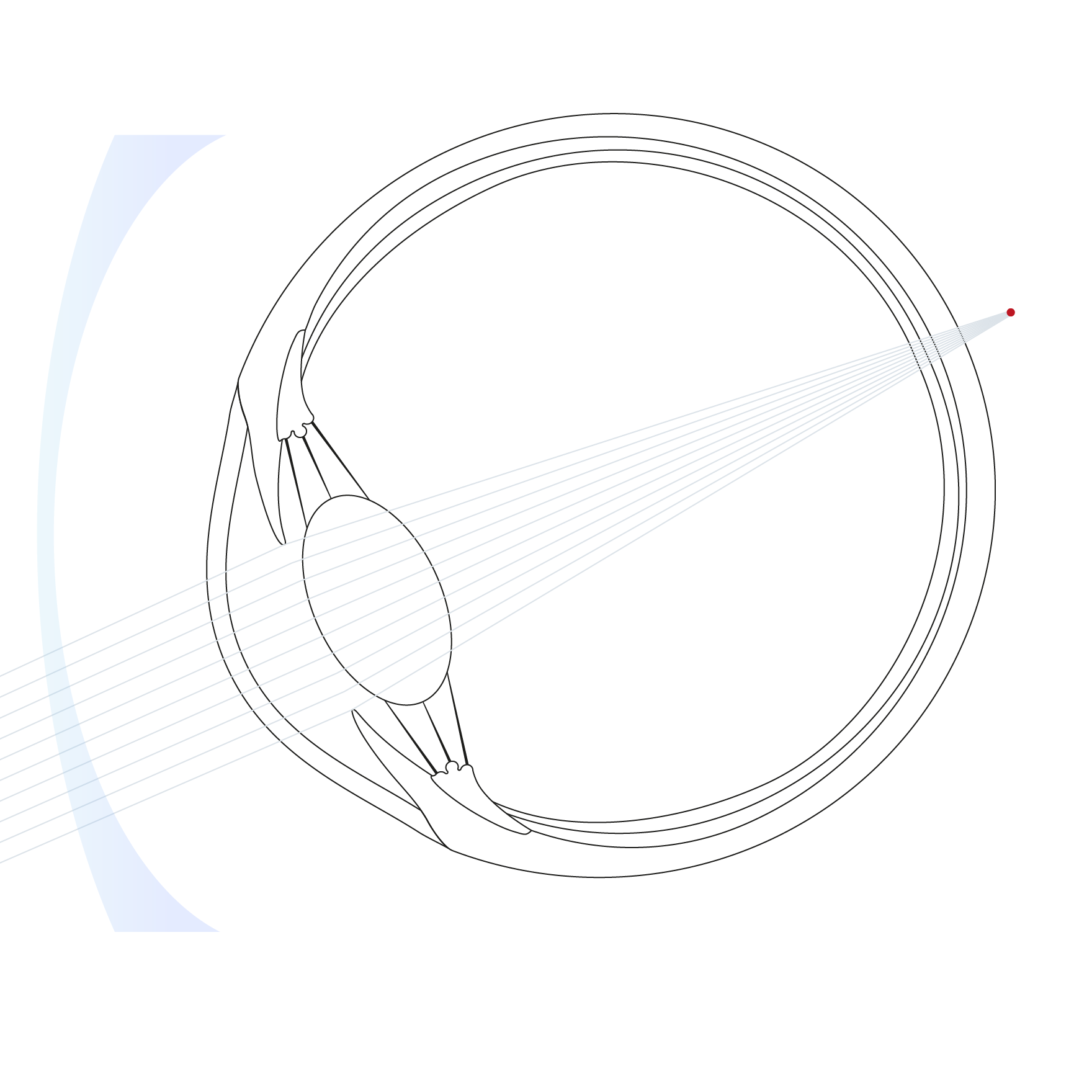 Verres ZEISS MyoCare